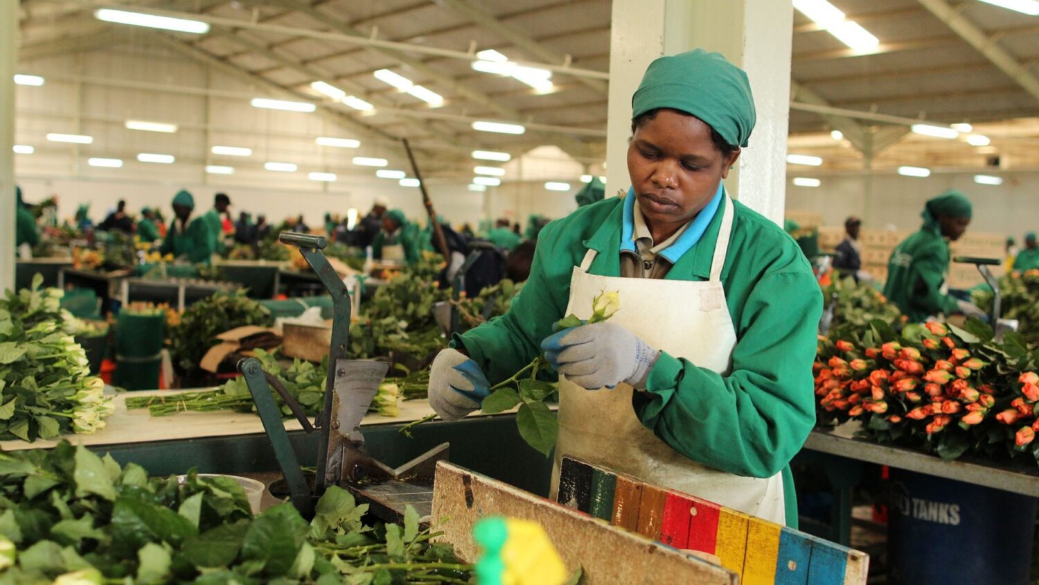 Climate Breakthrough Award is the largest climate grant for leaders.