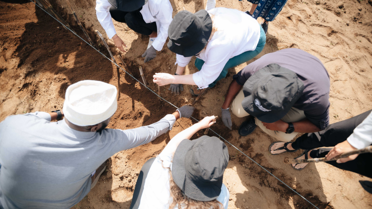 What is the Climate Breakthrough Award?