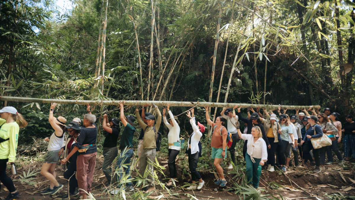 Climate Breakthrough transforms grantmaking for climate action