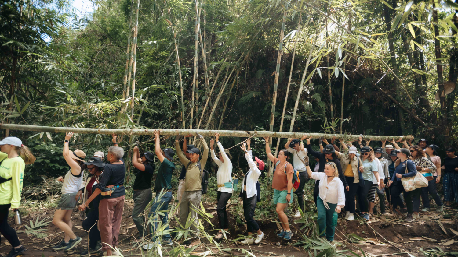 Climate Breakthrough transforms grantmaking for climate action